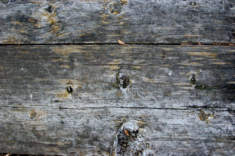 Wood Plank Pattern Picture. Image: 3530665