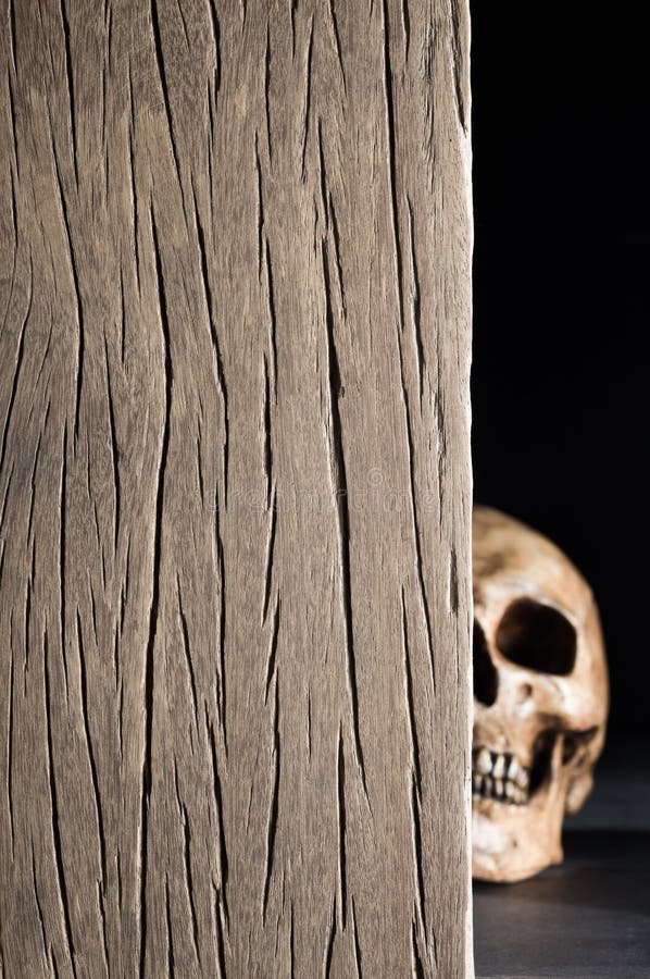 Wood plank with skull stock photo. Image of wood, head - 44864218