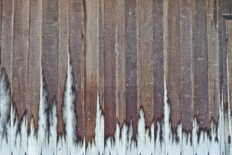 Wood plank wall texture stock photo. Image of wood, design - 36232634