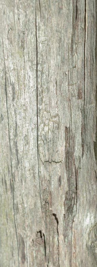 Wood planks stock image. Image of rustic, beaten, fence - 29238801