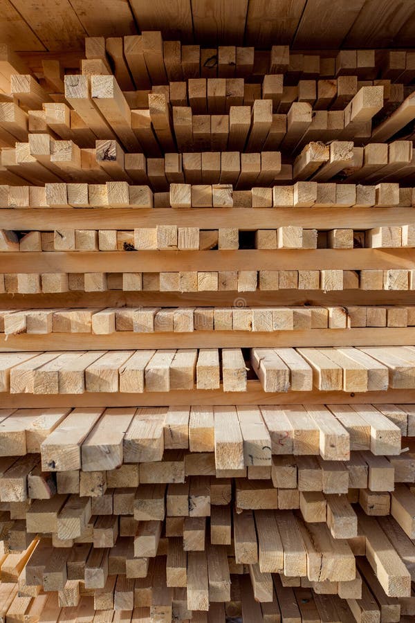 Wood planks stock photo. Image of timber, shape, plant - 92010534