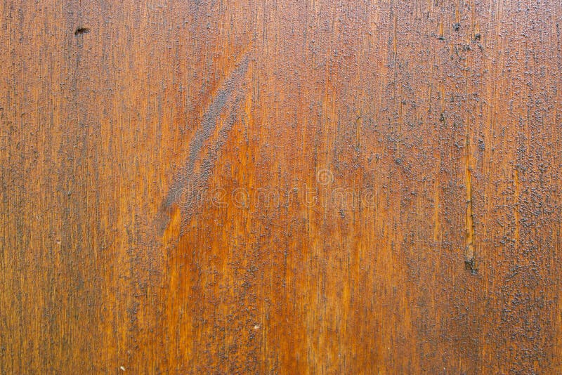 Wood plate texture stock photo. Image of color, timber - 54877178