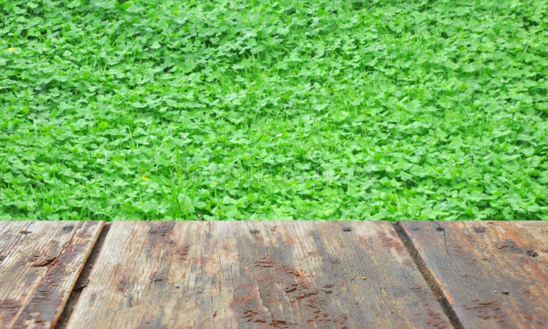 Wood Platform in the Green Field Stock Photo - Image of landscape ...