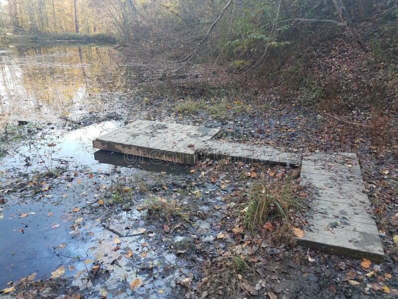 Wood Platform in Water and Mud with Fallen Leaves Stock Photo - Image ...
