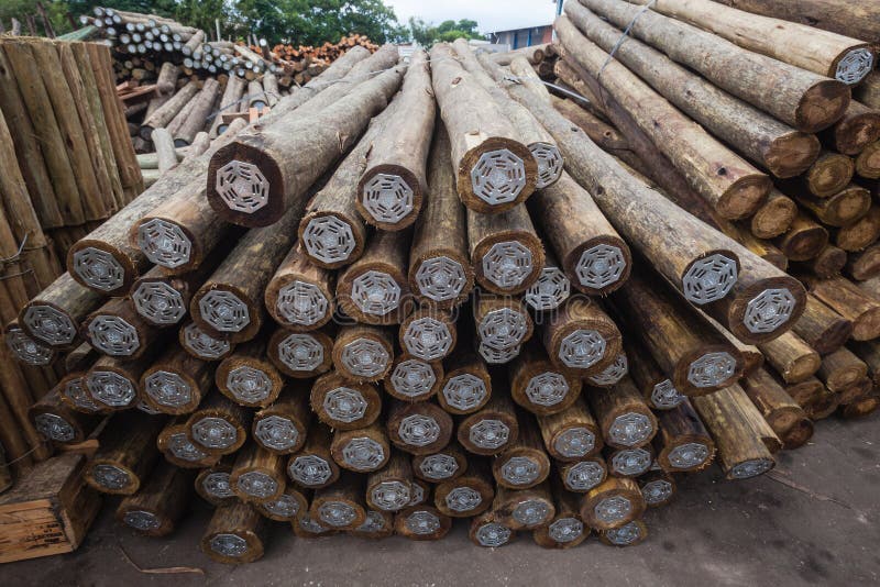 Wood Poles Treated stock image. Image of tree, farming - 29103171