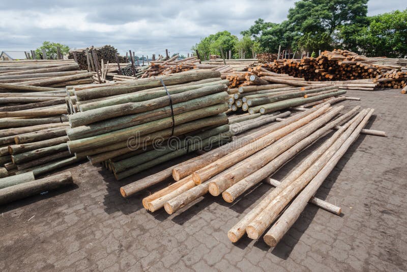 Wood Poles Yard stock image. Image of wood, thickness - 29103285