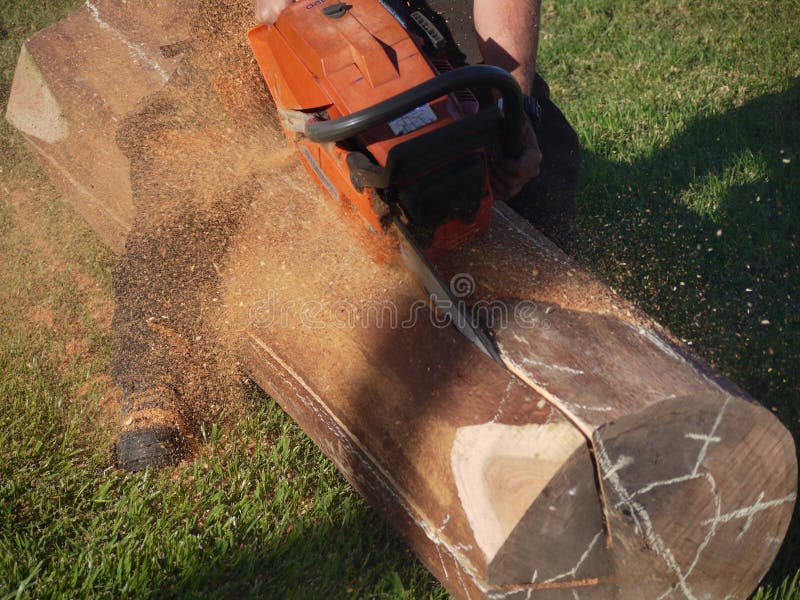 Wood Post Cutting Competition Stock Image - Image of absolutely, wood ...