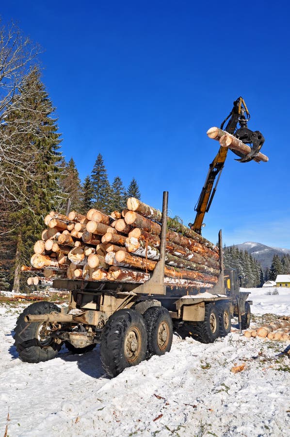 Wood preparation stock photo. Image of timber, flora - 23556996