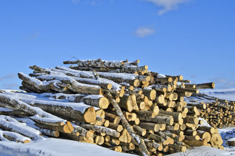 Wood for production stock photo. Image of production - 30060442