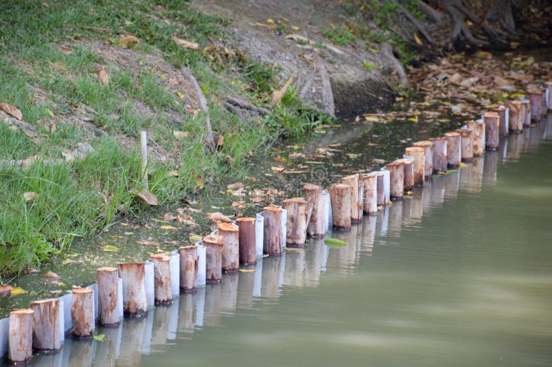 Wood Prevent Soil Subsidence Stock Photo - Image of waterfront, weed ...