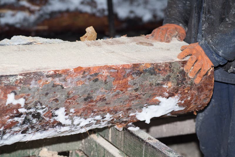 Wood Processing. Cutting Logs on the Boards. in the Winter Process a ...