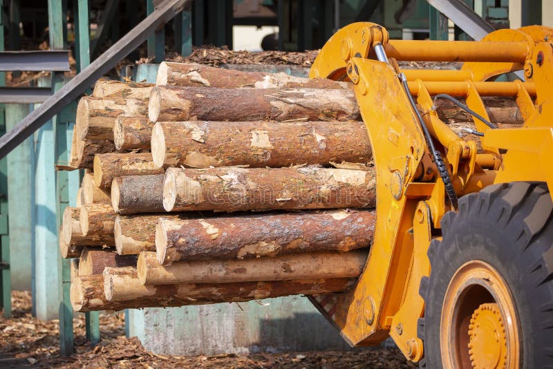 Wood processing industry stock photo. Image of environment - 190106016