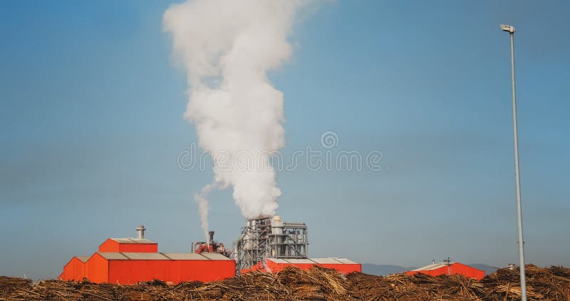 Wood Processing Plant Pollutes the Air with Smoke Coming from the Pipe ...