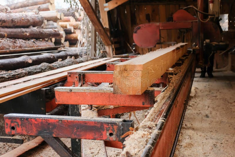 Wood Processing at a Sawmill. Preparation of Logs for Production Stock ...