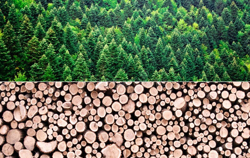 Wood production concept stock image. Image of pellet - 151757485