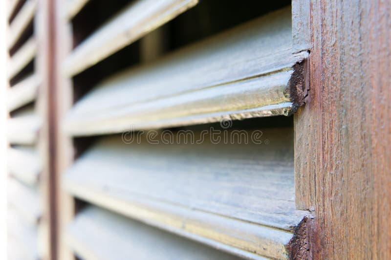 Wood protection panels stock photo. Image of protection - 55306098