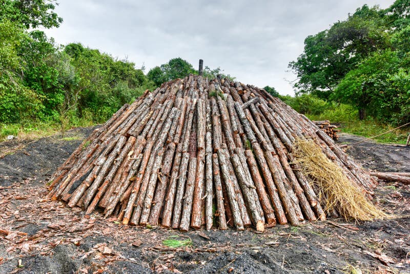 Wood Pyre Pine Logs Stock Photos - Free & Royalty-Free Stock Photos ...