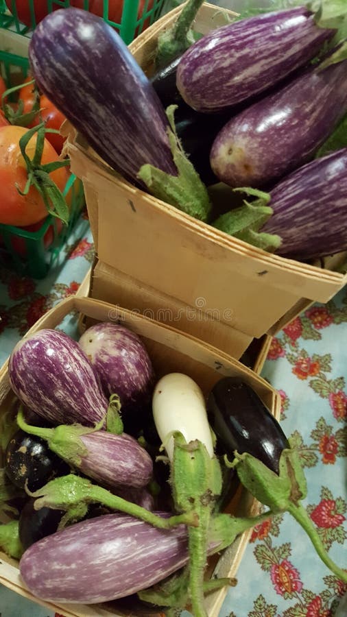 Quart Baskets of eggplant stock image. Image of multi - 180203871