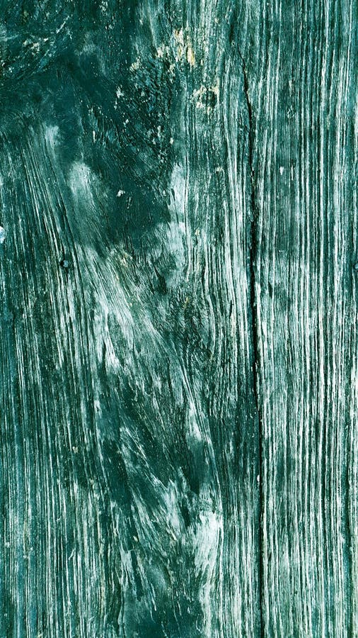 Wood Real Detail Texture BG Stock Photo - Image of carpentry, material ...