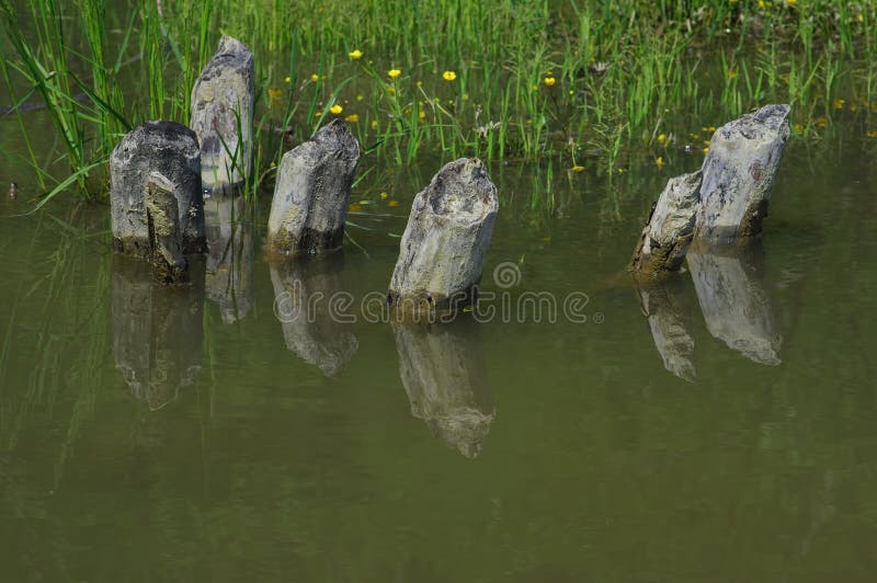 Wood reflection stock photo. Image of outdoor, beautiful - 14003462