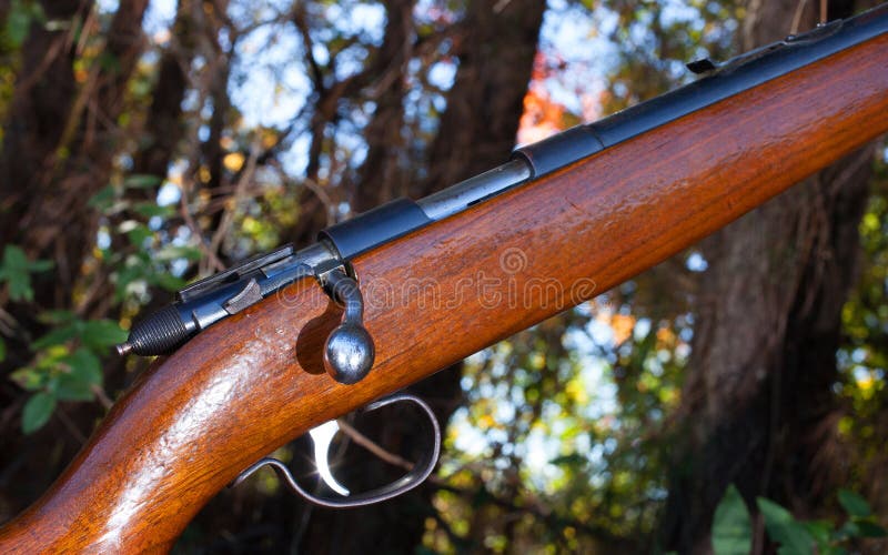 Wood Rifle stock photo. Image of brown, trees, forest - 34970862