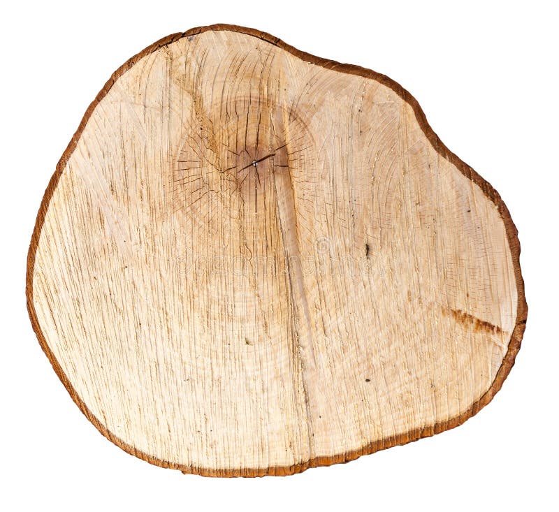 Wood ring stock image. Image of nature, closeup, tree - 53400291