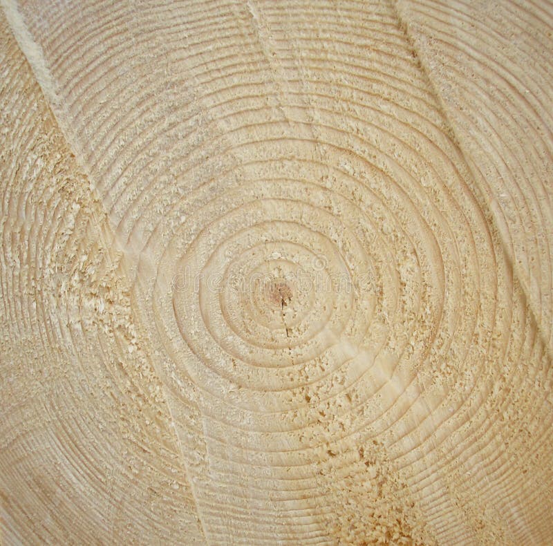 Wood rings stock photo. Image of wood, plank, texture - 13606666