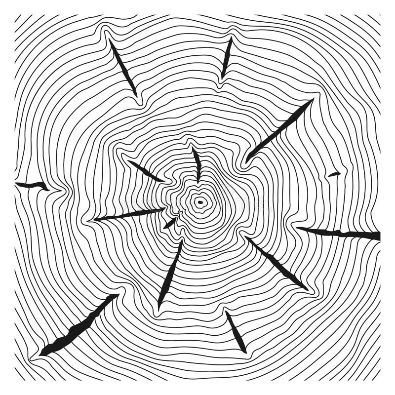 Wood Rings Pattern. Concentric Tree Linear Texture Stock Illustration ...