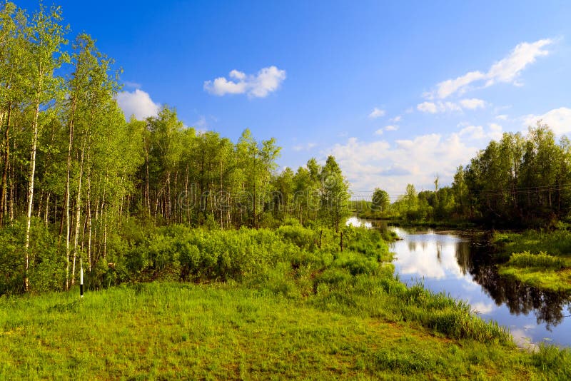 The wood river stock photo. Image of impressionism, landscape - 11895662