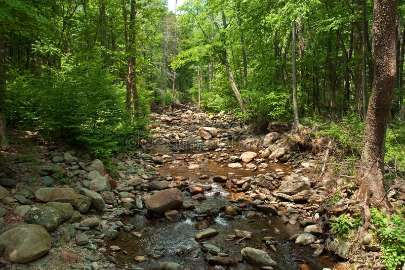 Wood river stock photo. Image of landscape, river, national - 7720642