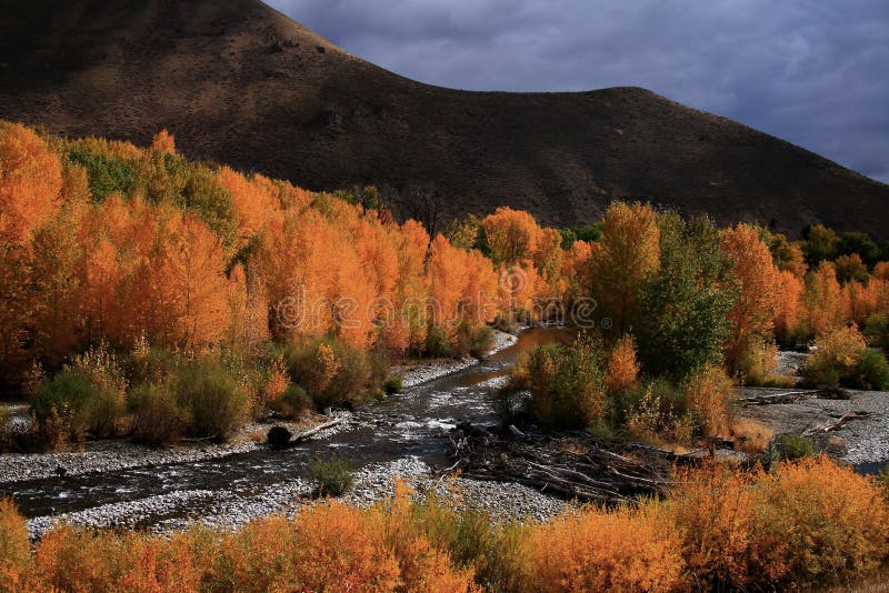 The wood river stock photo. Image of impressionism, landscape - 11895662