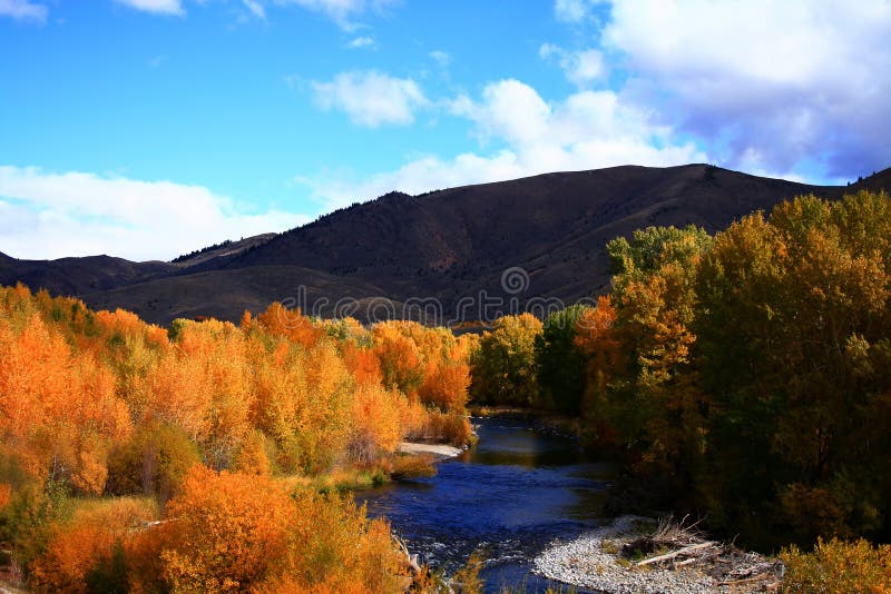 Wood River Autumn 4 stock photo. Image of forest, pristine - 3570842