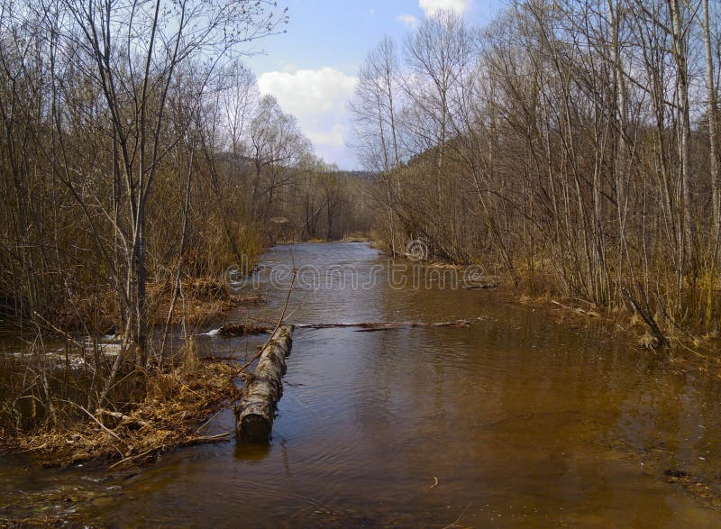 The Wood Road Flooded with Spread Stream Stock Image - Image of stream ...