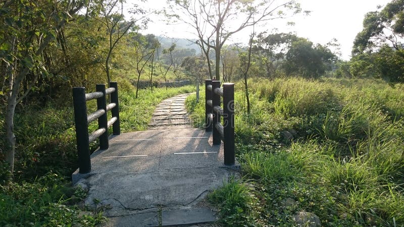 Wood road on hill stock image. Image of hill, wood, road - 79252851