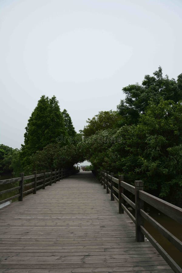 Wood road scene stock photo. Image of reservoir, tourist - 55968580