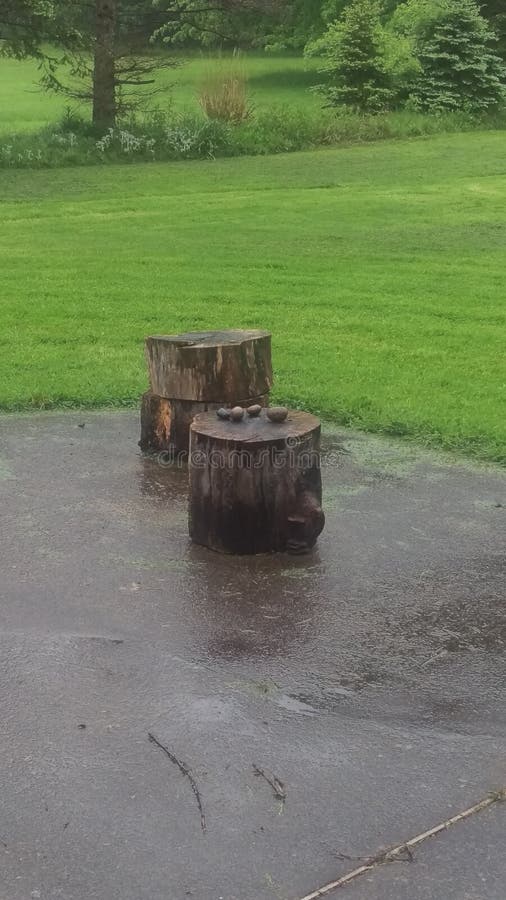 Wood rocks stock photo. Image of rocks, bench, walkway - 92820464