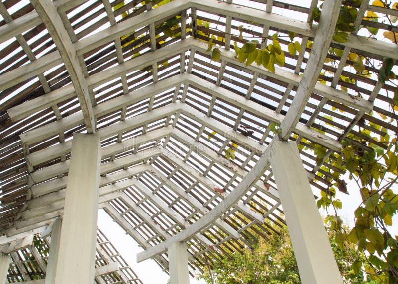 Wood roof structure stock photo. Image of architectural - 62580830