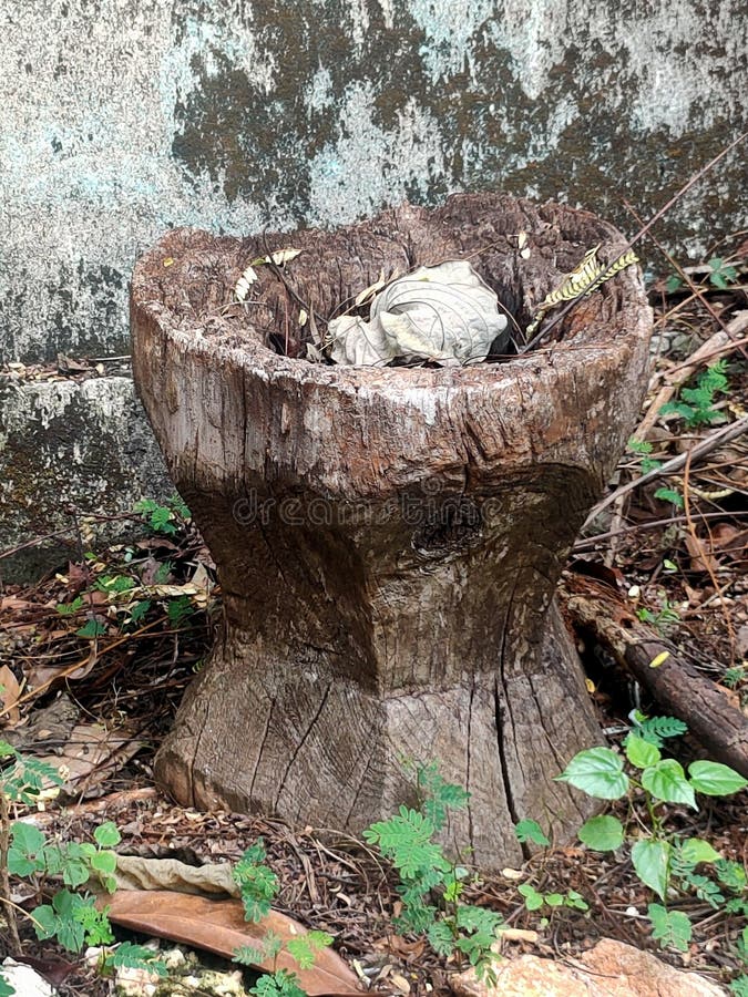 Wood rotting with age stock photo. Image of rotting - 303801702