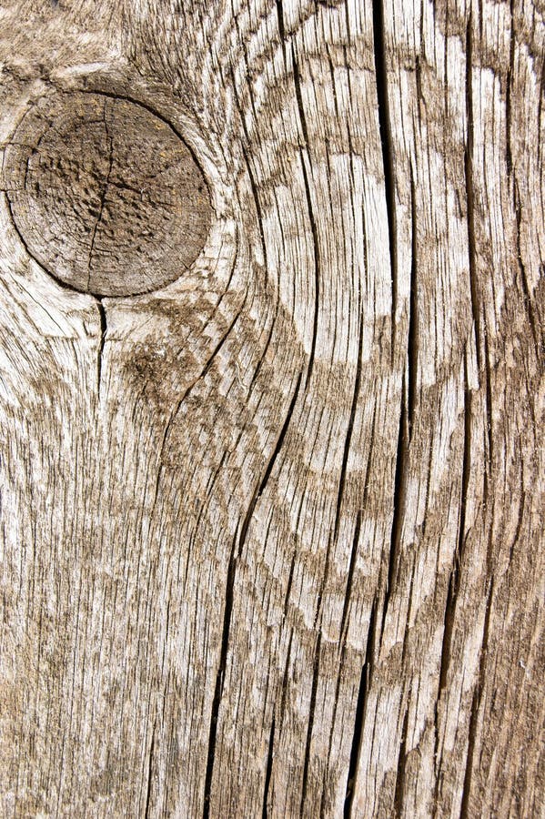 Wood Rough Processing Texture Stock Image - Image of rough, processing ...