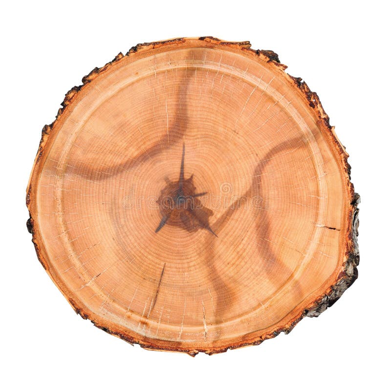 Wood round log stock image. Image of board, shabby, panel - 86332767