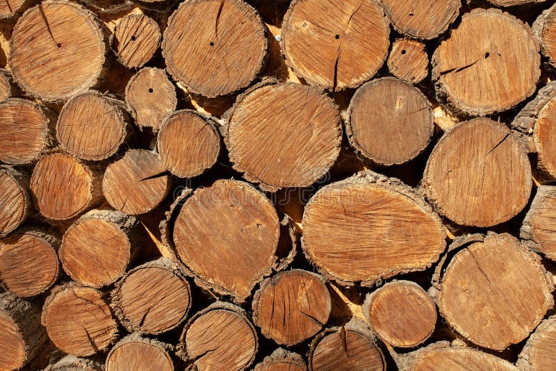 Wood Round Timber Background Close Up. Wooden Pattern Stock Image ...