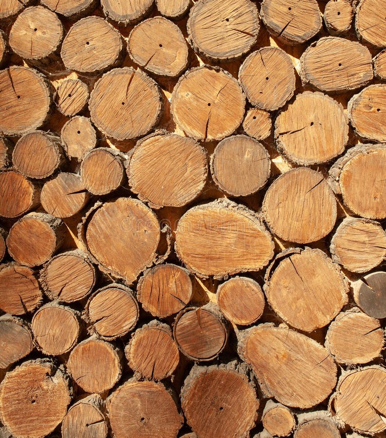 Wood Round Timber Background Close Up. Wooden Pattern Stock Photo ...