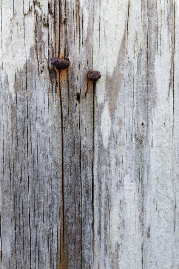 Wood with rust stock image. Image of lumber, paint, rusty - 101293931