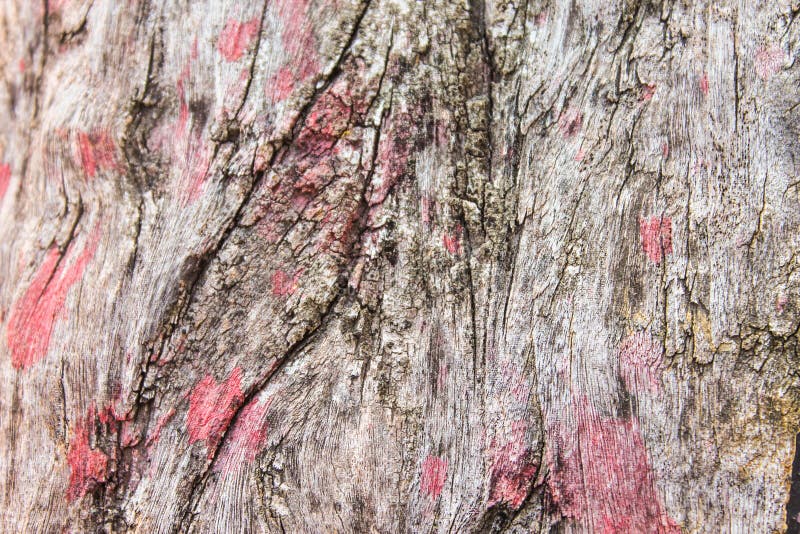 Wood Rustic Surface Abstract Rough Stock Image - Image of brown, grungy ...