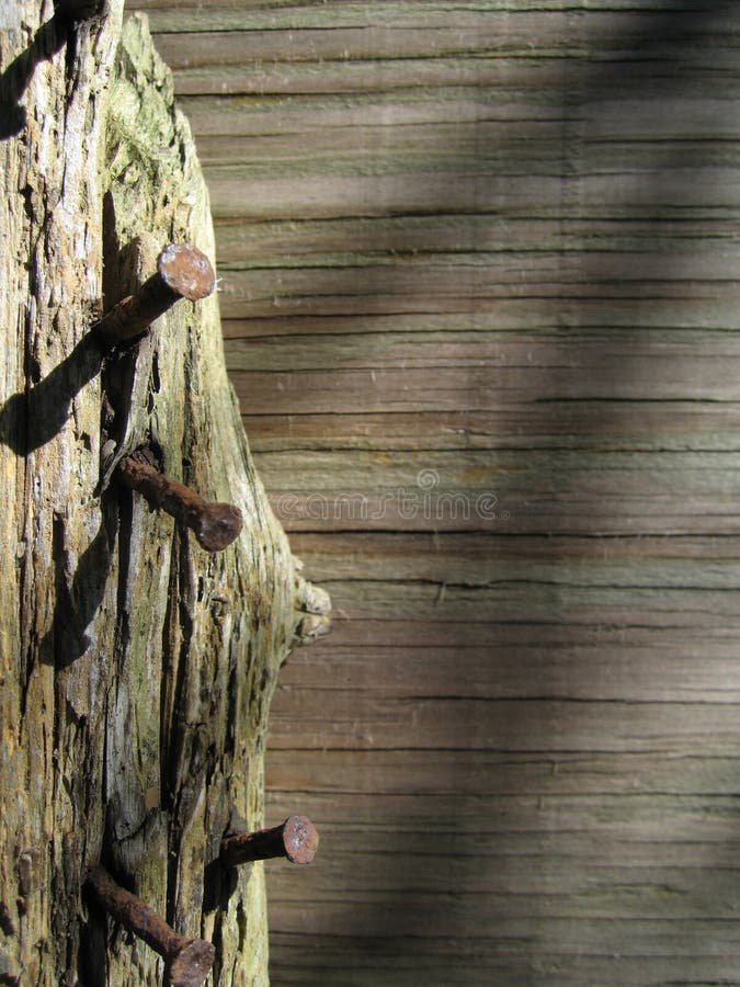 Wood and Rusty Nails stock image. Image of abstract, damage - 272005