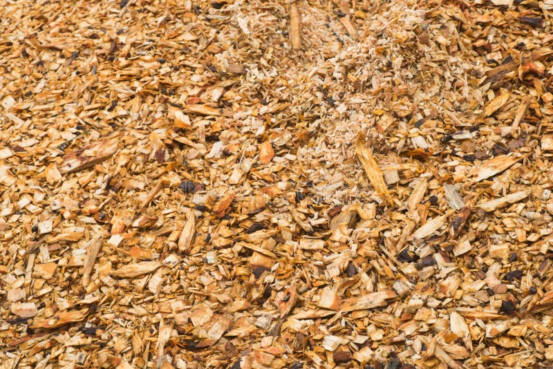 Wood sawdust stack stock image. Image of forestry, lumber - 107212443