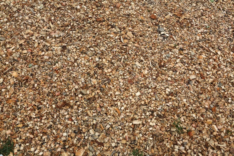 Wood Sawdust Texture stock photo. Image of hard, high - 94873126