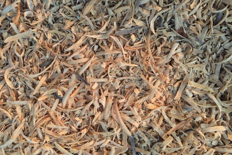 Wood Sawdust Texture Background Stock Image - Image of woodworking ...