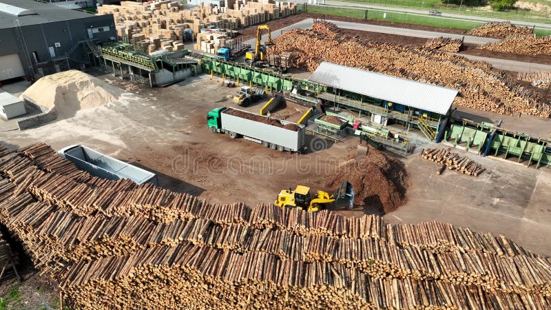 Wood Sawmill, Machinery for Processing Wood. Processing Plant Stock ...
