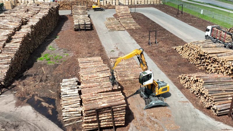 Wood Sawmill, Machinery for Processing Wood. Processing Plant Stock ...